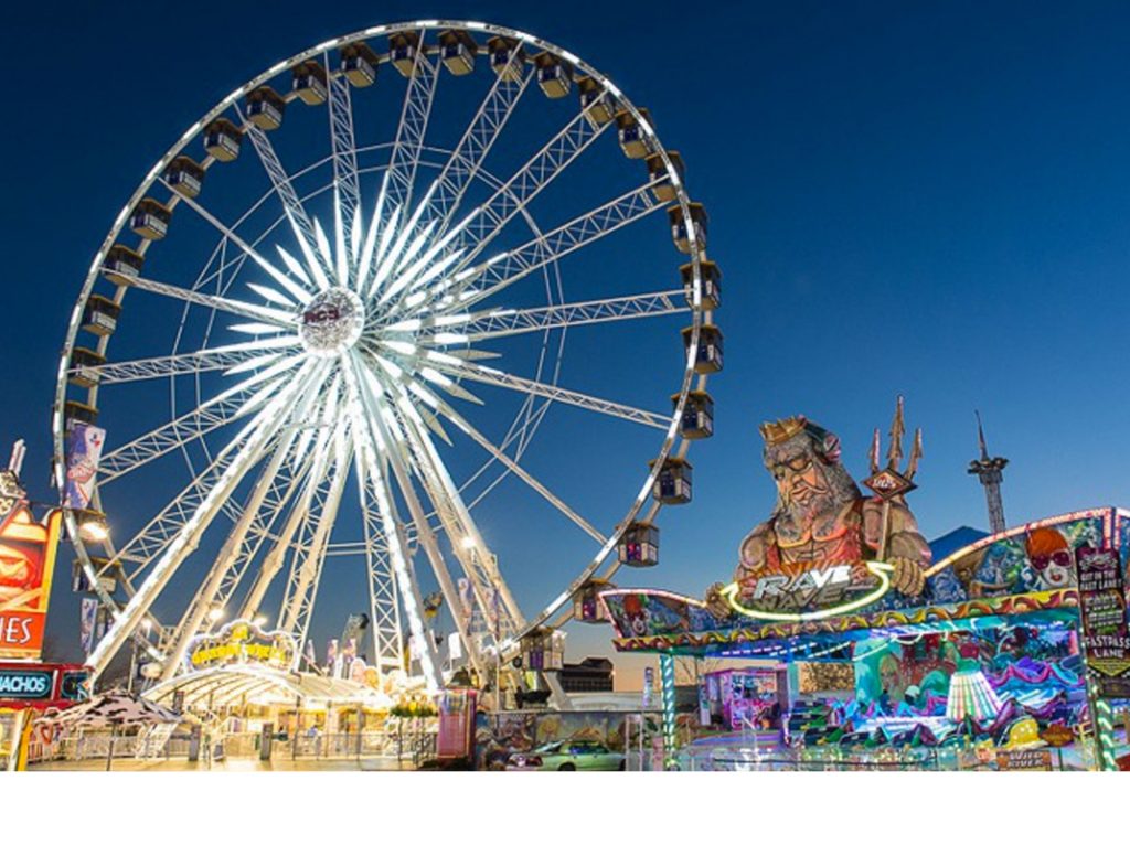 Harry's Boots Guide to the Houston Rodeo | Harry's Boots