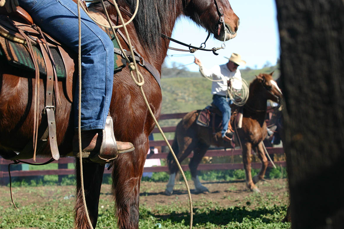 Types of Cowboy Boots | Cowboy Boot Styles | Harry's Boots